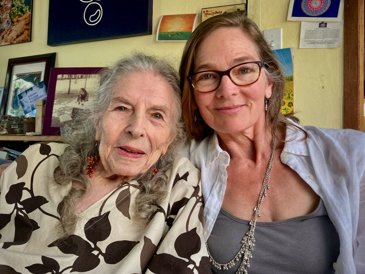 Continuing the Shulgin Legacy: Synergetic Press & Transform Press Agre
