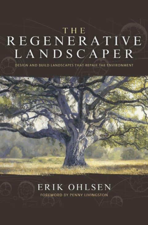 Synergetic Press | Regenerating People and the Planet