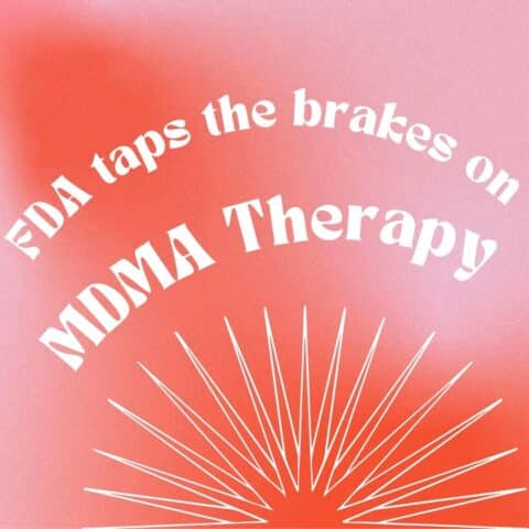 Synergetic Press | Regenerating People and the Planet