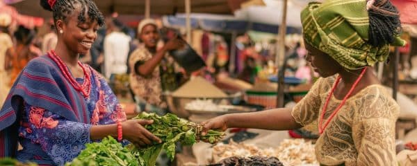 4 - Synergetic Press