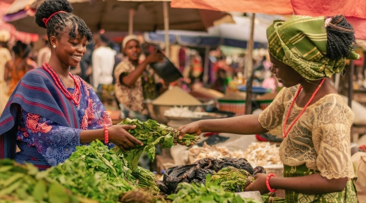 4 - Synergetic Press