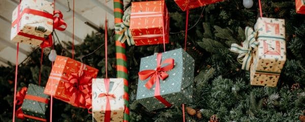 5 - Synergetic Press