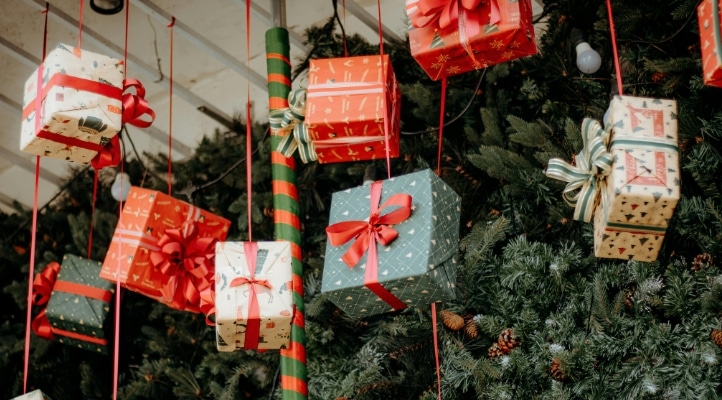 5 - Synergetic Press